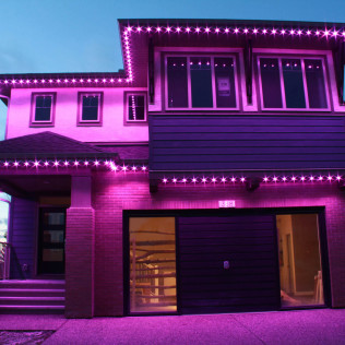 Gallery | Vivid Lights